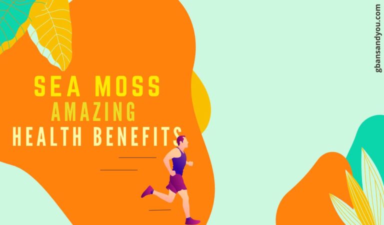 Amazing (Irish Moss) Sea Moss Nutrition Facts, is enough to love it!